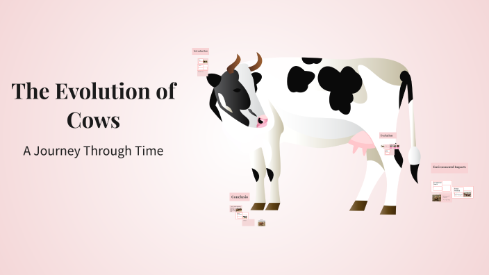 The Evolution of Cows by Kate Field on Prezi