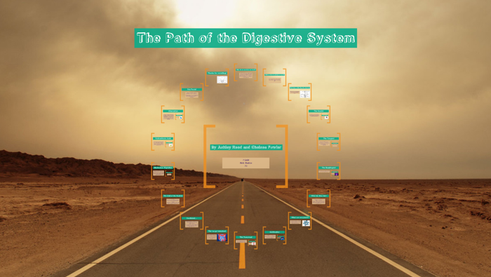 Ashley and Chelsea Digestive System by Susan Musco on Prezi