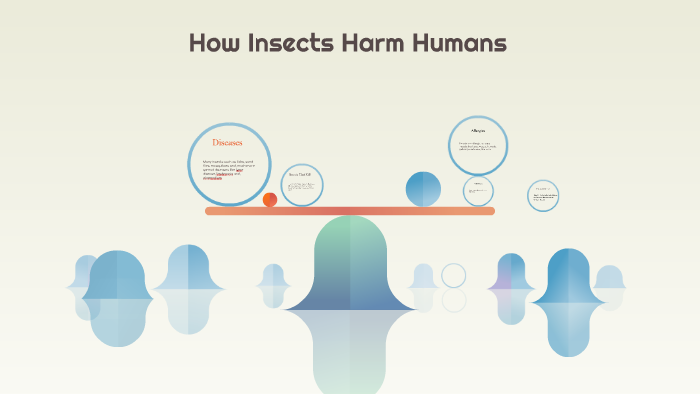 How Insects Harm Humans by Nate Schwartzkopf on Prezi