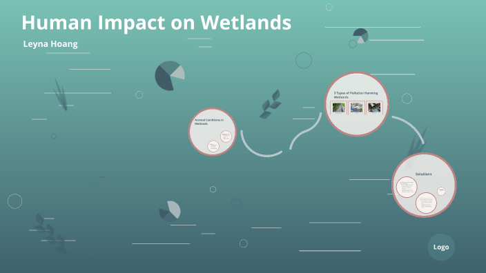 Wetlands pollution by Leyna Hoang on Prezi