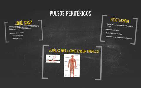PULSOS PERIFÉRICOS by on Prezi