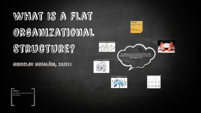 What Is a Flat Organizational Structure? by Miroslav Mihalčin on Prezi