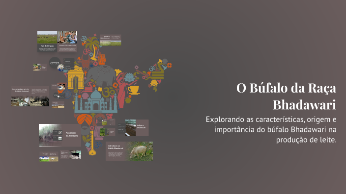 O Búfalo da Raça Bhadawari by Elio Pedro rodrigues on Prezi