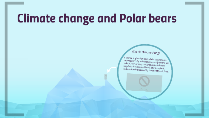 Climate change and Polar bears by seanna armstrong on Prezi