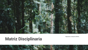 MATRIZ DISCIPLINARIA by Allison Vara on Prezi Design