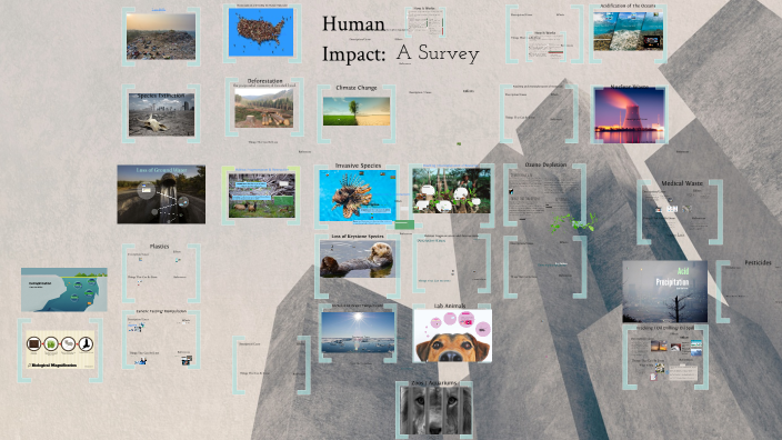 Environmental Science-Human Impact Collaborative Student Project by ...