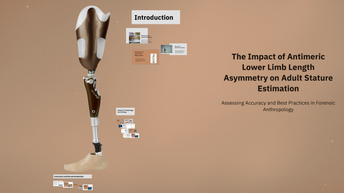The Impact of Antimeric Lower Limb Length Asymmetry on Adult Stature ...