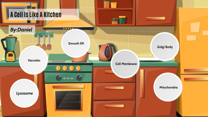 A Cell Is Like A Kitchen by Daniel Molla on Prezi