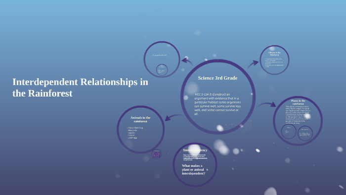 Interdependent Relationships in the Rainforest. by pehrson timmons on Prezi
