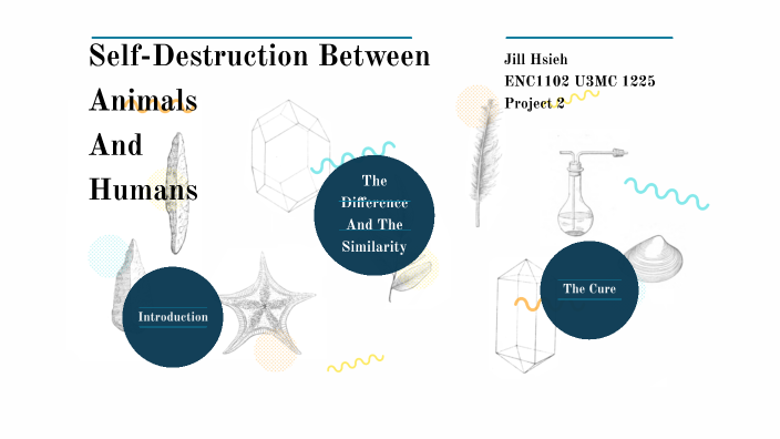 Self-Destruction Between Animals And Human by JILL HSIEH on Prezi