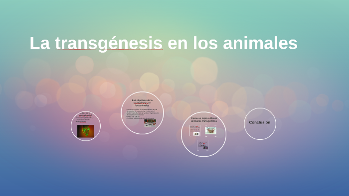 La trangenesis en los animales by Tamara Aracely Ortega Meza on Prezi