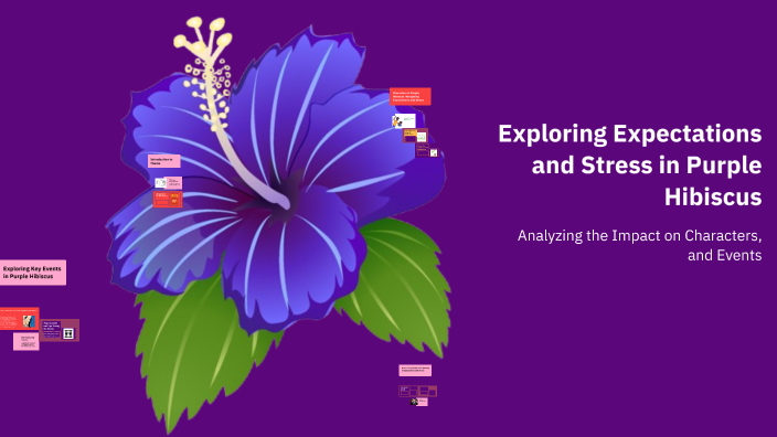Exploring Expectations and Stress in Purple Hibiscus by Vetri M on Prezi