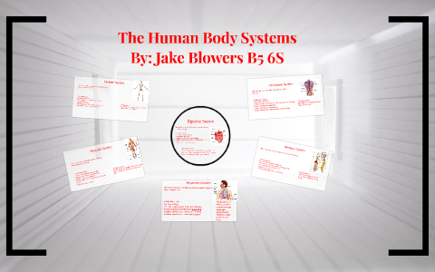 skeletal system by jake blowers on Prezi Next