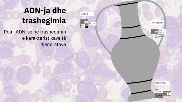ADN-ja dhe trashegimia by Dent Maqedonci on Prezi