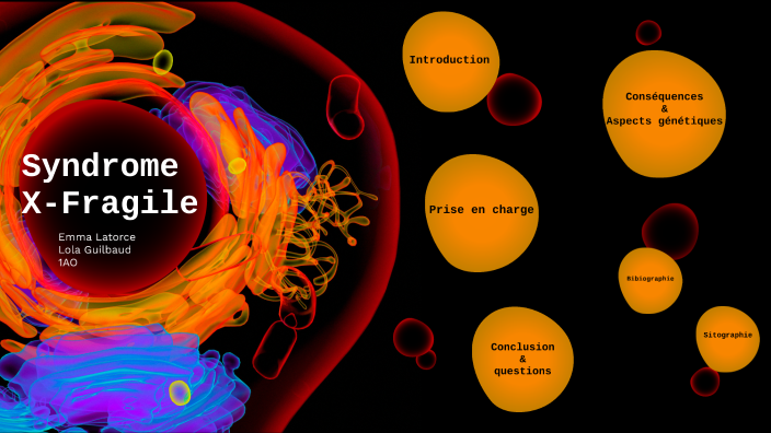 Syndrome X-Fragile by Lola GUILBAUD on Prezi