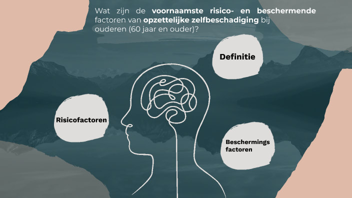 Wat zijn de voornaamste risico- en beschermende factoren van ...