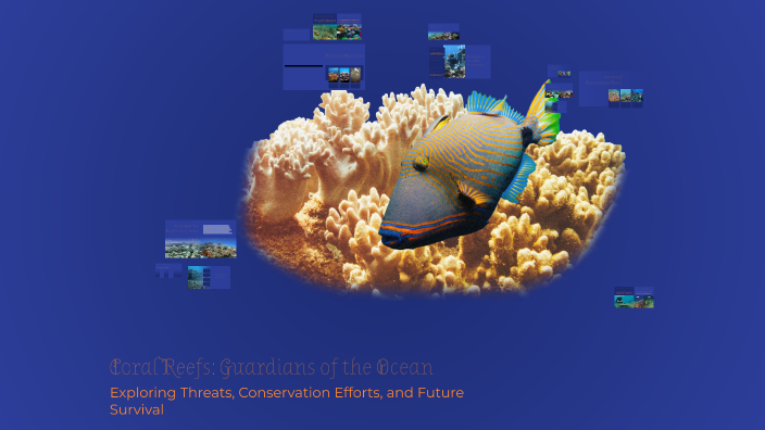 Coral Reefs: Guardians of the Ocean by Jaiden Tiburcio on Prezi