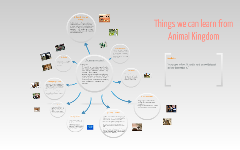 Life Lessons from Animals by tanay bhalerao on Prezi