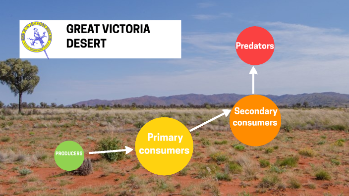 Great victoria desert by Savyo Rasho Yaqo on Prezi
