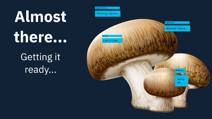 Essential Stages of Website Development by Misha on Prezi