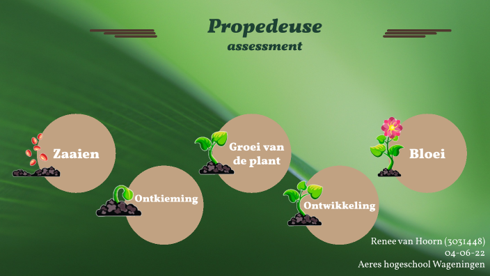 Propedeuse assement by Renee Van Hoorn on Prezi
