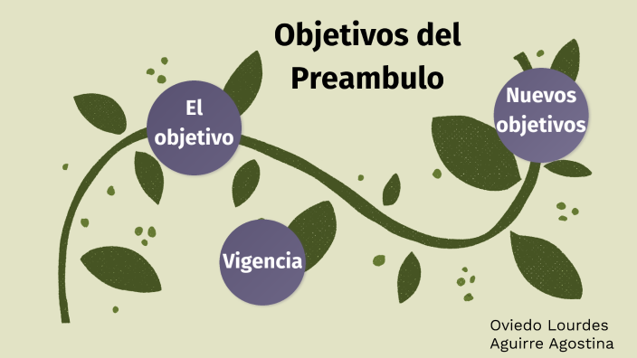 Objetivos Del Preambulo by LOURDES VIRGINIA OVIEDO on Prezi