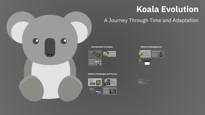 Koala Evolution by Mikayla Flett on Prezi