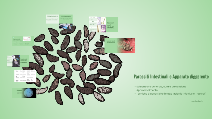 Parassiti Intestinali by Anita Rondinelli on Prezi