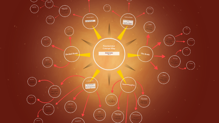 Neuroscience Concept Map by Alondra Sicairos on Prezi