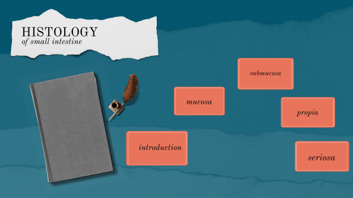 histology by aland ali on Prezi