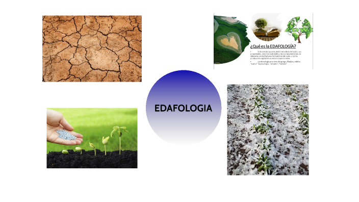 EDAFOLOGIA by gina ortega marcatoma on Prezi