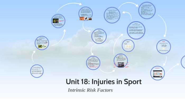 Intrinsic Risk Factors 20.21 by Ockert Erasmus on Prezi