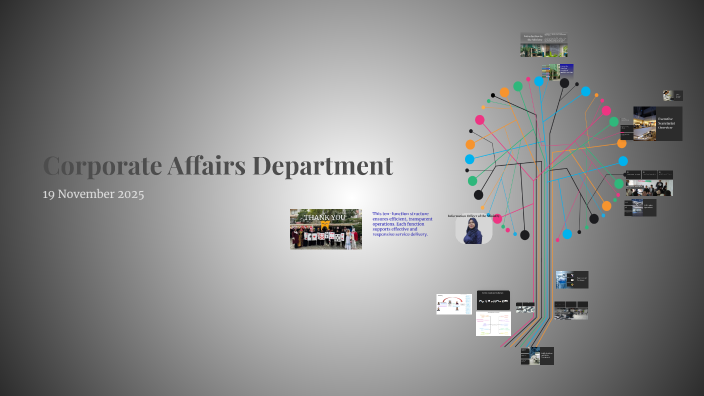 Ministry Organizational Structure and Functions by maryam shahida on Prezi