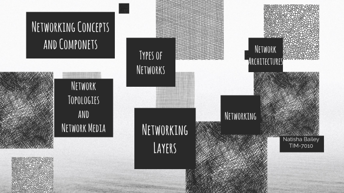 Networking by Tish Bailey on Prezi