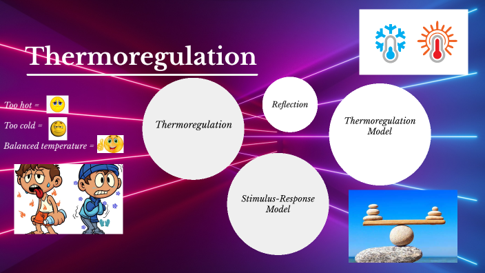 Homeostasis - Thermoregulation by Logan Schubach on Prezi