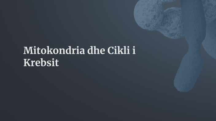 Mitokondria dhe Cikli i Krebsit by Leonita Fetiu on Prezi