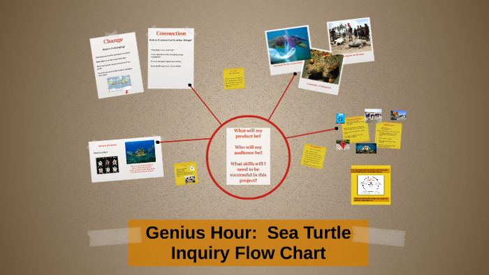 Genius Hour: Sea Turtle Inquiry Map by Janice Medenica on Prezi