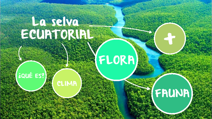 La selva ecuatorial by Luis Javier Corrales Avilés on Prezi