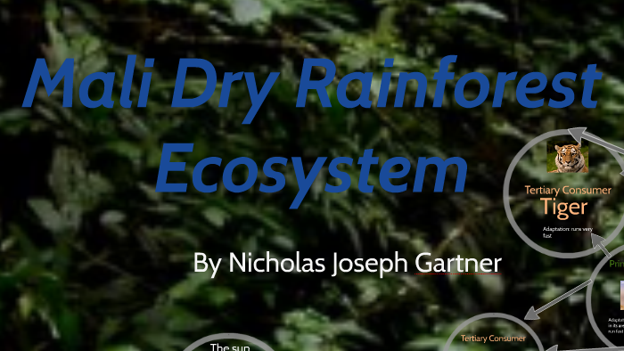 Mali Rainforest Ecosystem by Nick Gartner on Prezi