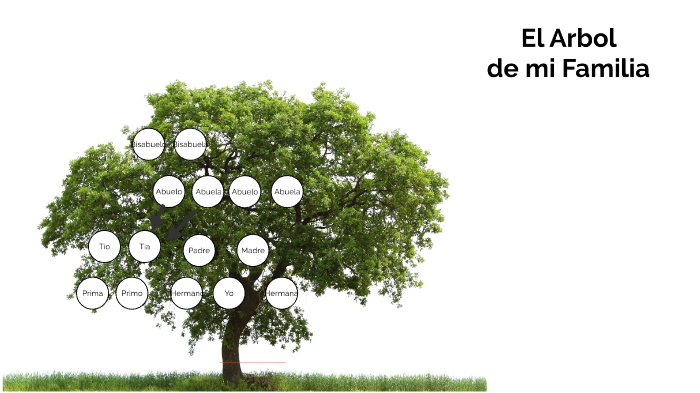 El Arbol de mi Familia by Corbin Olney on Prezi