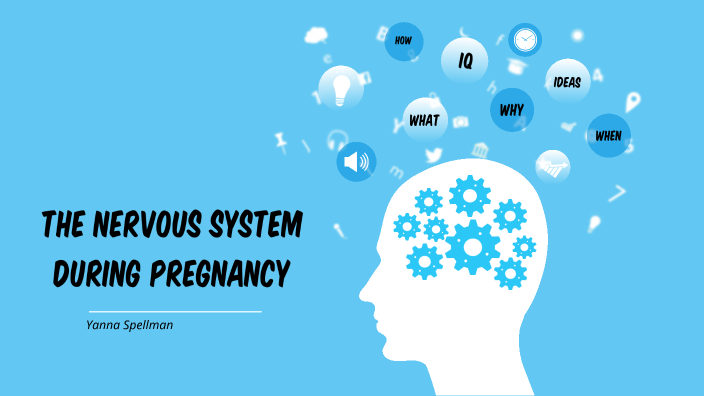 The Neurological System During Pregnancy by Yanna Spellman on Prezi