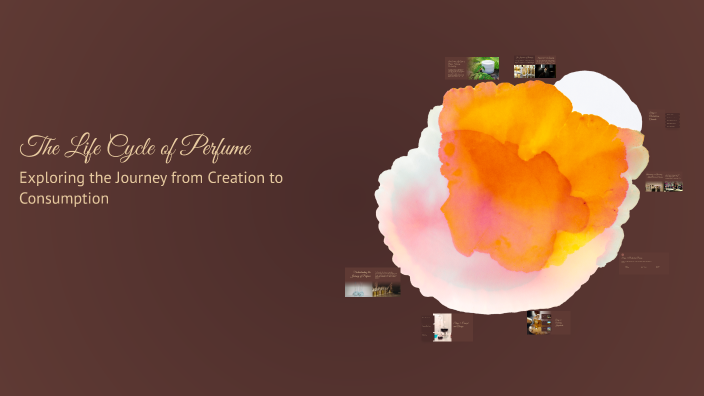 The Life Cycle of Perfume by Arrianne Mae Nakanteng on Prezi