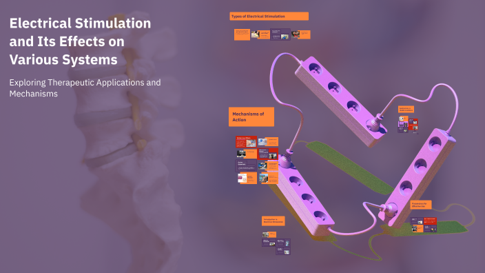 Electrical Stimulation and Its Effects on Various Systems by Anitha on ...
