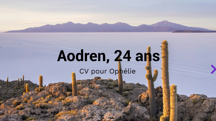 Aodren, 24 ans by Aodren Lahellec on Prezi