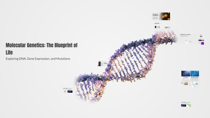 Molecular Genetics: The Blueprint of Life by Hera Xianelle Galvez on Prezi