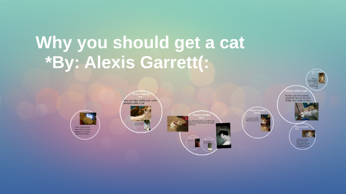 Reasons why you should get a cat by Alexis Garrett on Prezi