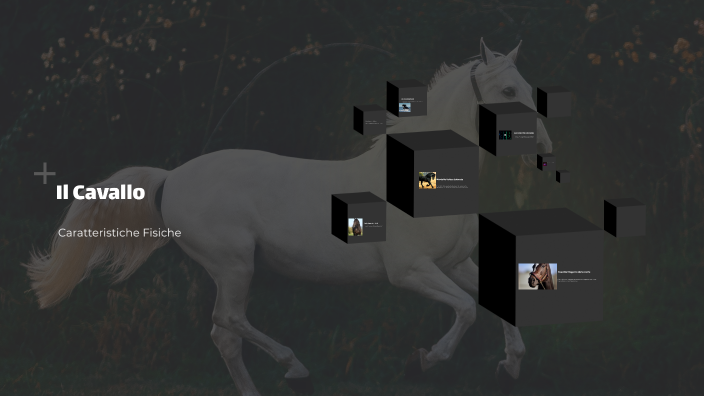 Il Cavallo by jessica tricoli on Prezi