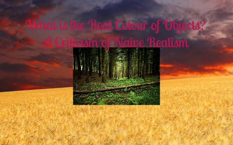 A Criticism of Naive Realism by Dannielle Edawrds on Prezi