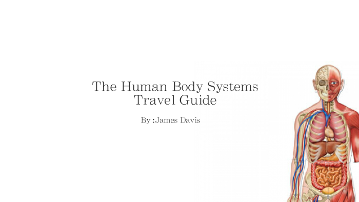 The Human Body Systems Travel Guide by James Davis on Prezi
