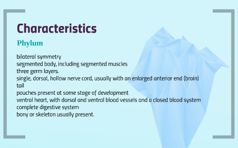 Animal Phylum Poster by Eva Tse on Prezi